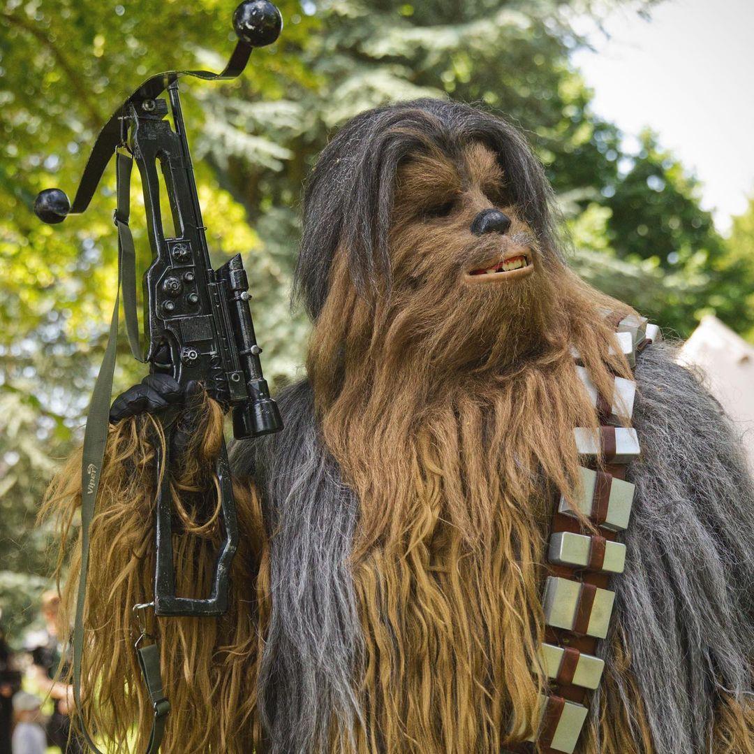 Chewbacca Costume Ideas