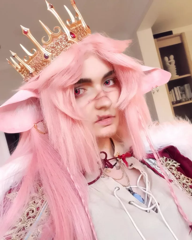 Technoblade DIY Costume Ideas [Cosplay Photos & Tutorials]